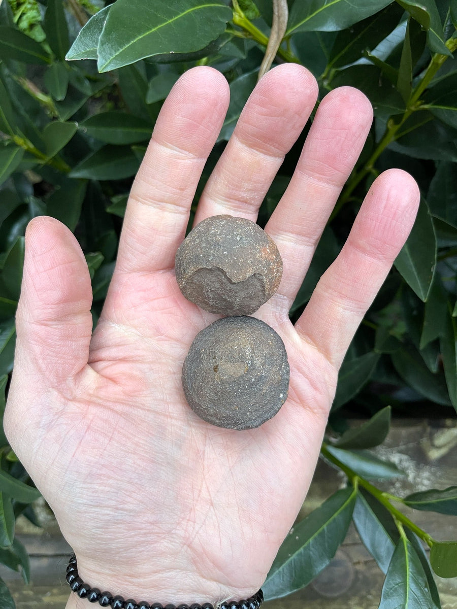 Moqui Marbles (Paar) I Stein-Insel